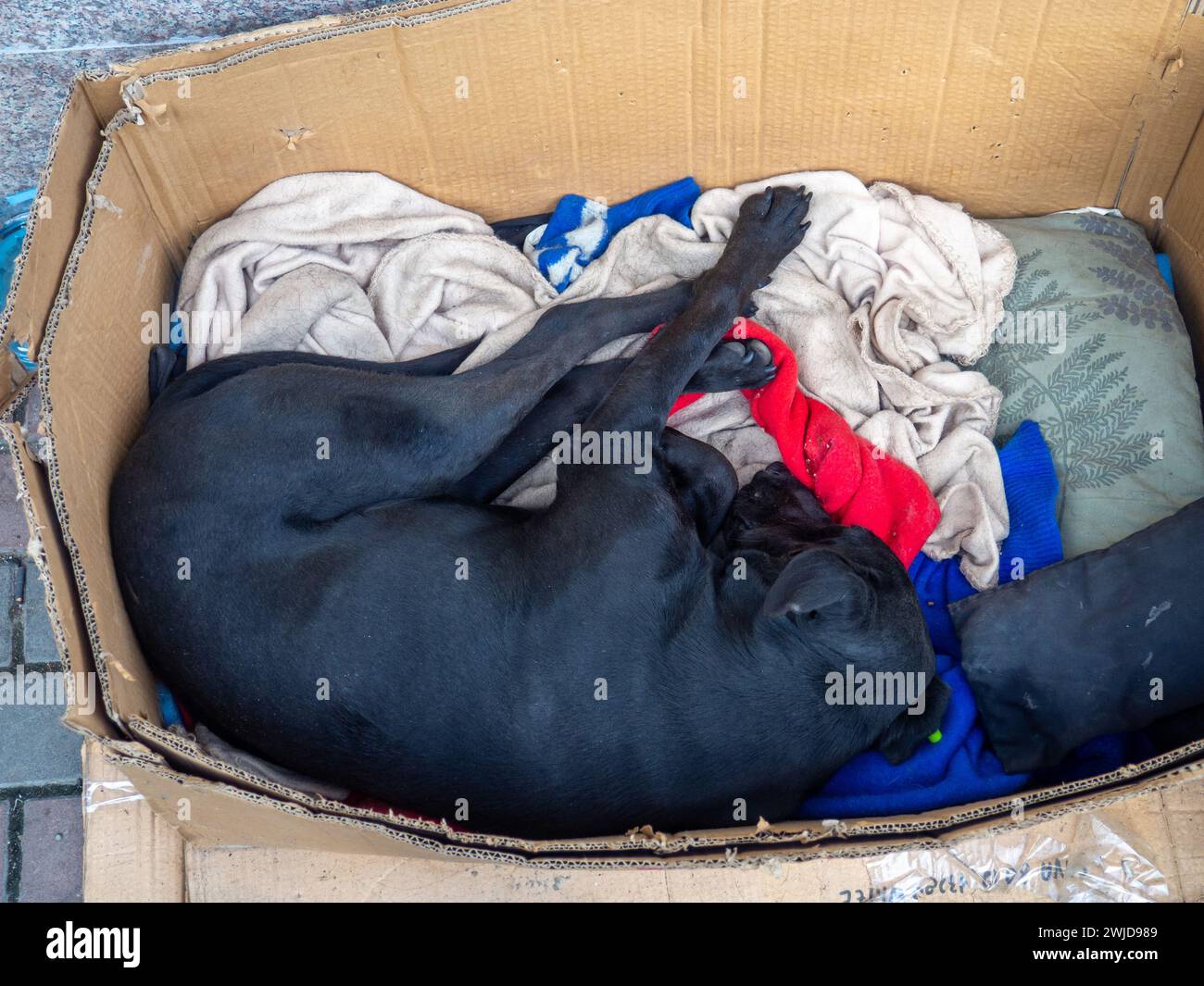 Box for fire blanket hi-res stock photography and images - Alamy