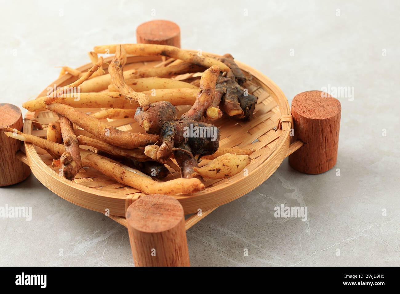 Fresh Kaempferia or Fingerroot, Known as Temu Kunci. Organic Herbal ...