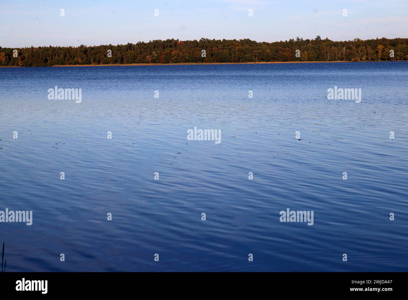 Moryner see hi-res stock photography and images - Alamy