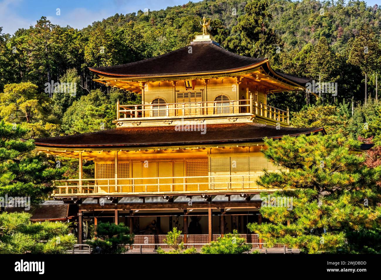 Coloful Kinkaku-Ji Rokuon-Ji Golden Pavilion Zen Buddhist Temple Park ...