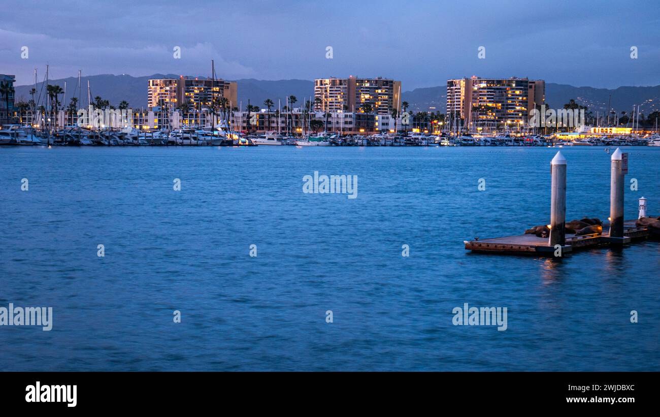 Sea lions sleeping on a dock at Marina del Rey, California, at night ...
