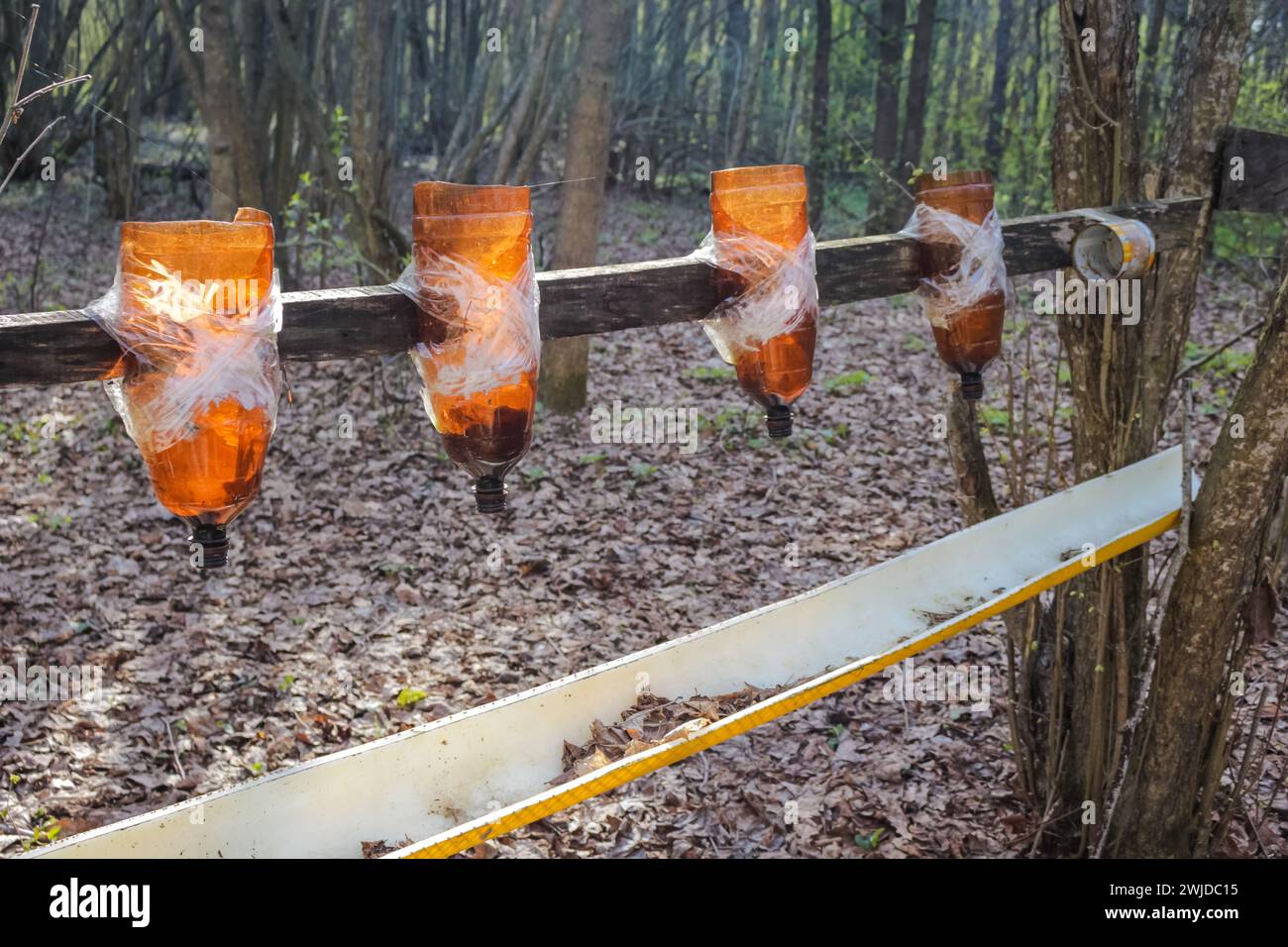 Camp conditions, wash basins from improvised means Stock Photo - Alamy