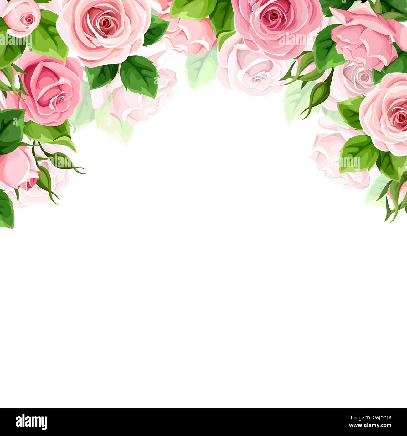 Background frame with pink rose flowers. Vector roses card design Stock ...