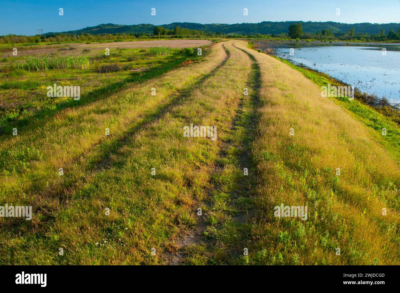 Levee trail at mallard marsh hi-res stock photography and images - Alamy