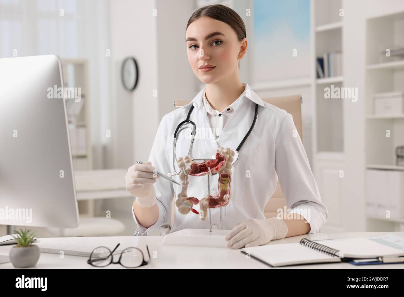 Gastroenterologist showing anatomical model of large intestine at table ...