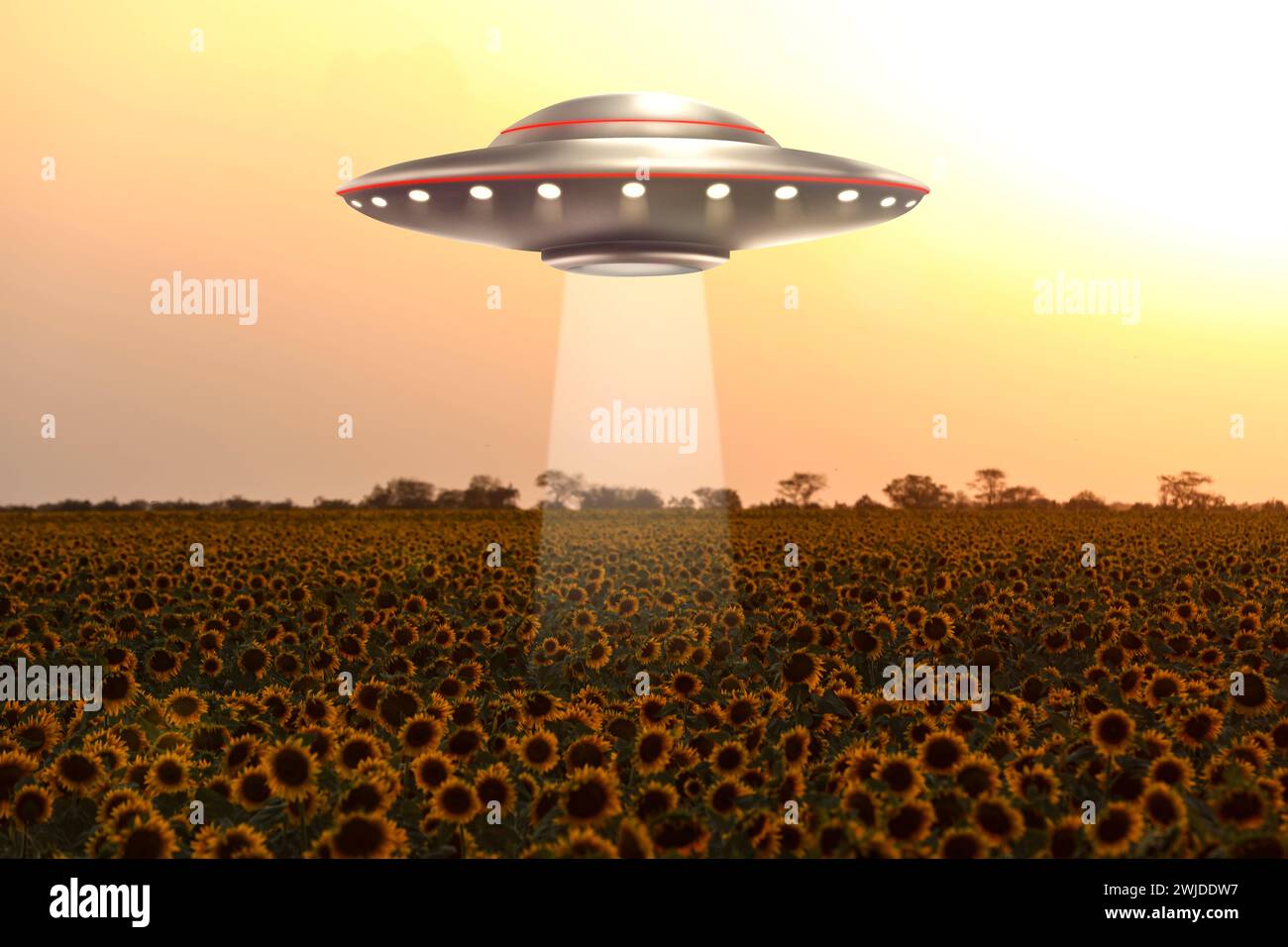 Alien spaceship emitting light in air over sunflower field. UFO Stock ...