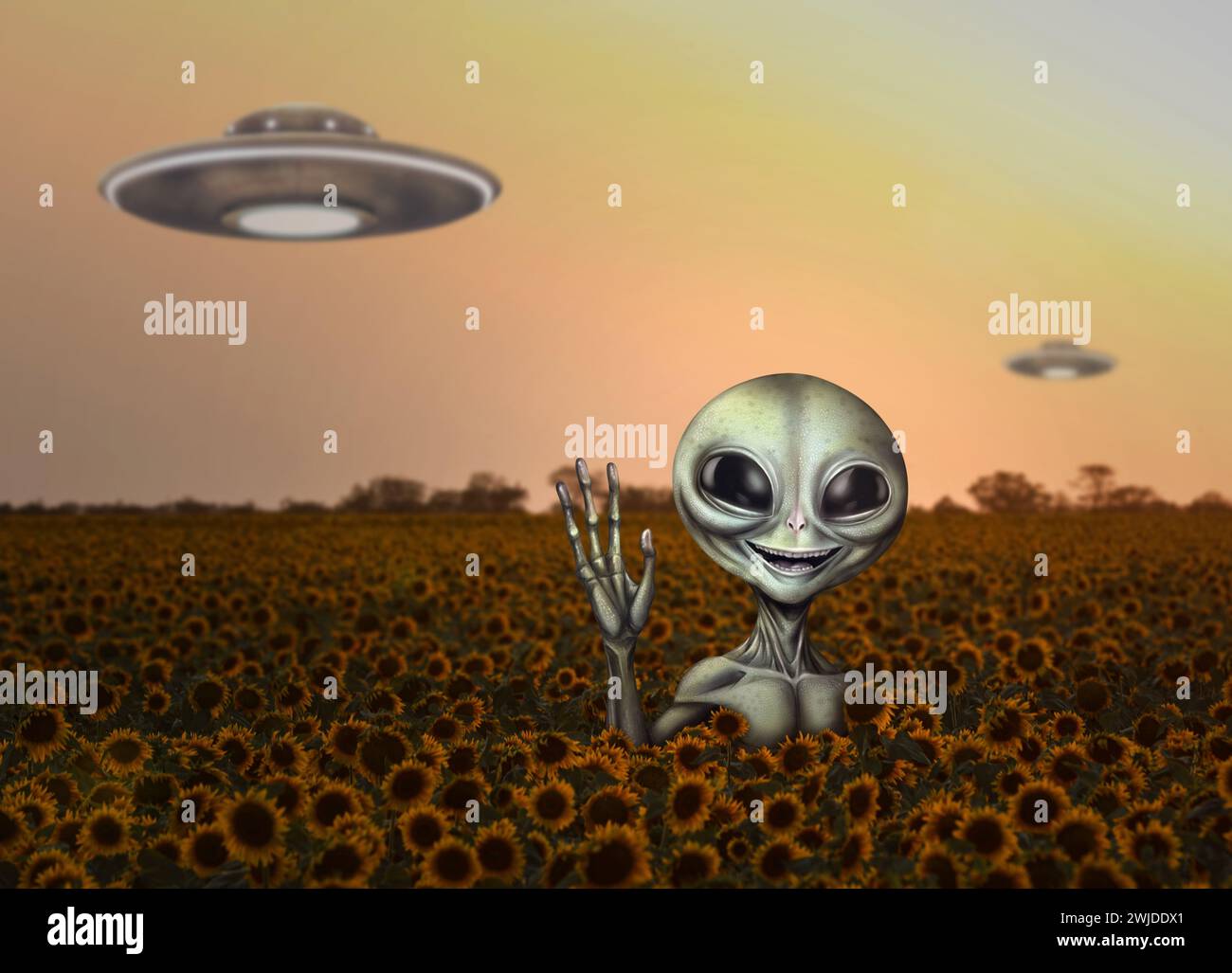 Alien in sunflower field and spaceships in air. UFO, extraterrestrial ...