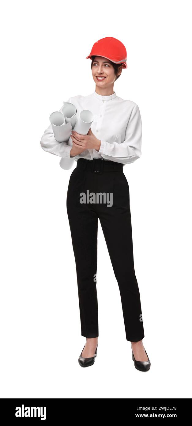 Architect with hard hat and drafts on white background Stock Photo - Alamy