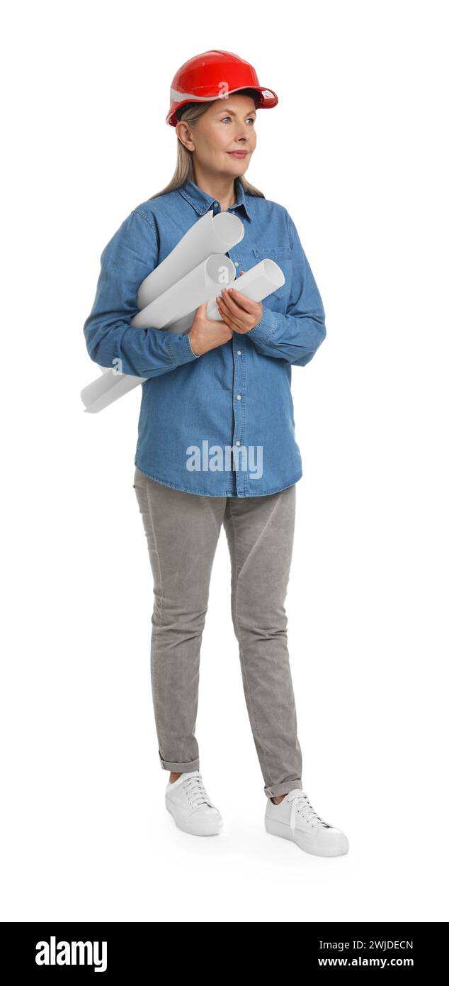 Architect in hard hat with drafts on white background Stock Photo - Alamy