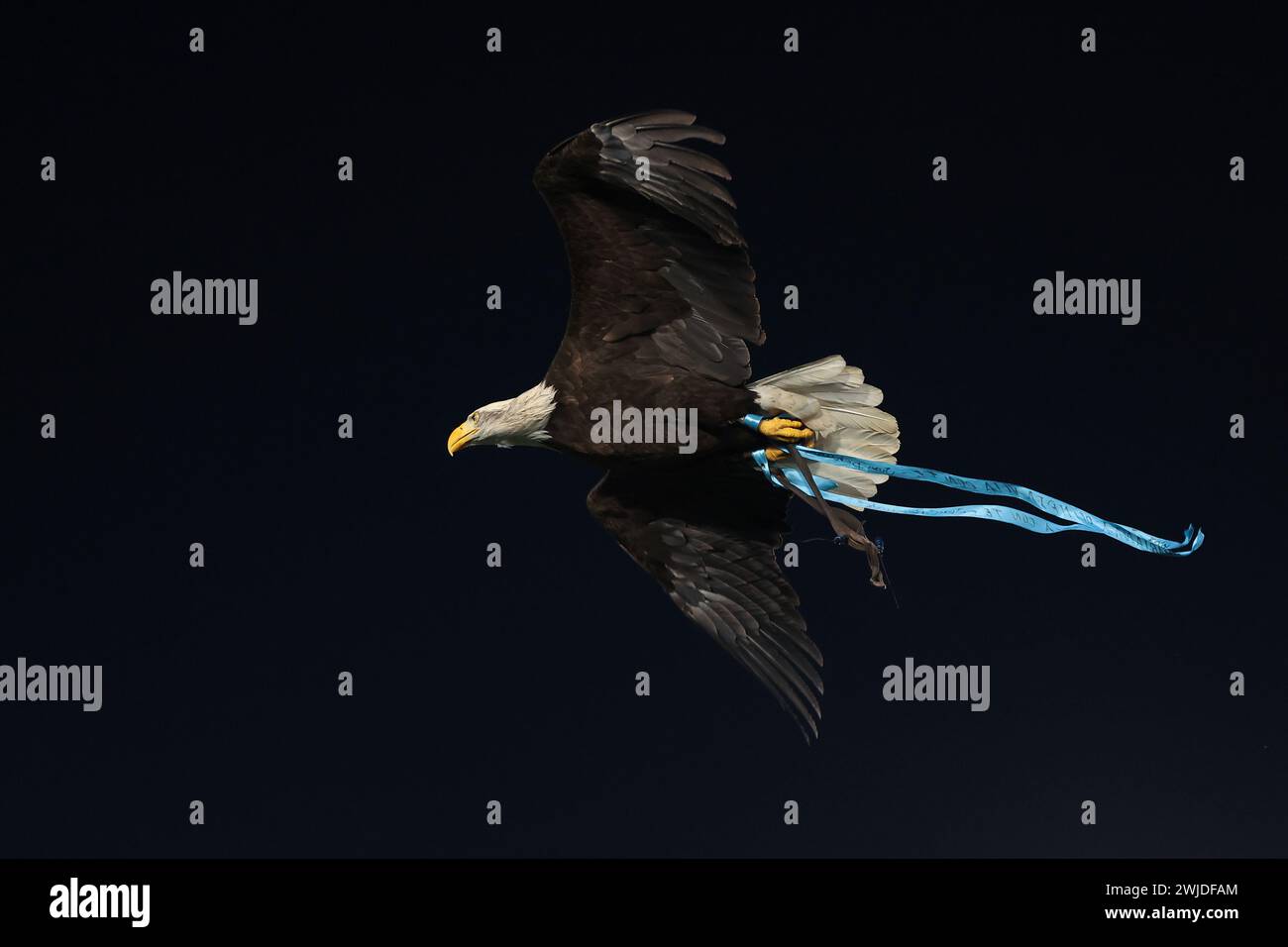 Rome 2024 mascot hi-res stock photography and images - Alamy