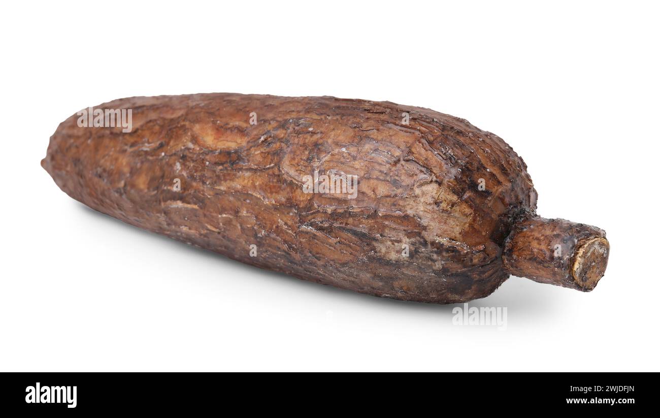 One whole ripe cassava root isolated on white Stock Photo - Alamy