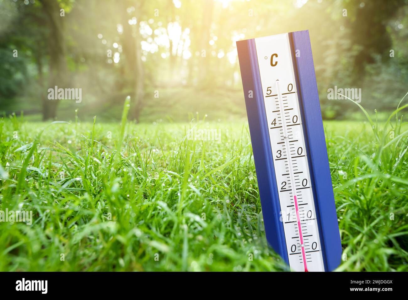 Thermometer in green grass outdoors. Temperature in spring Stock Photo ...