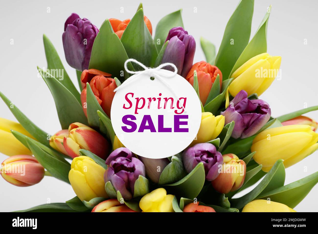 Spring sale flyer design with text and beautiful tulips on light grey ...