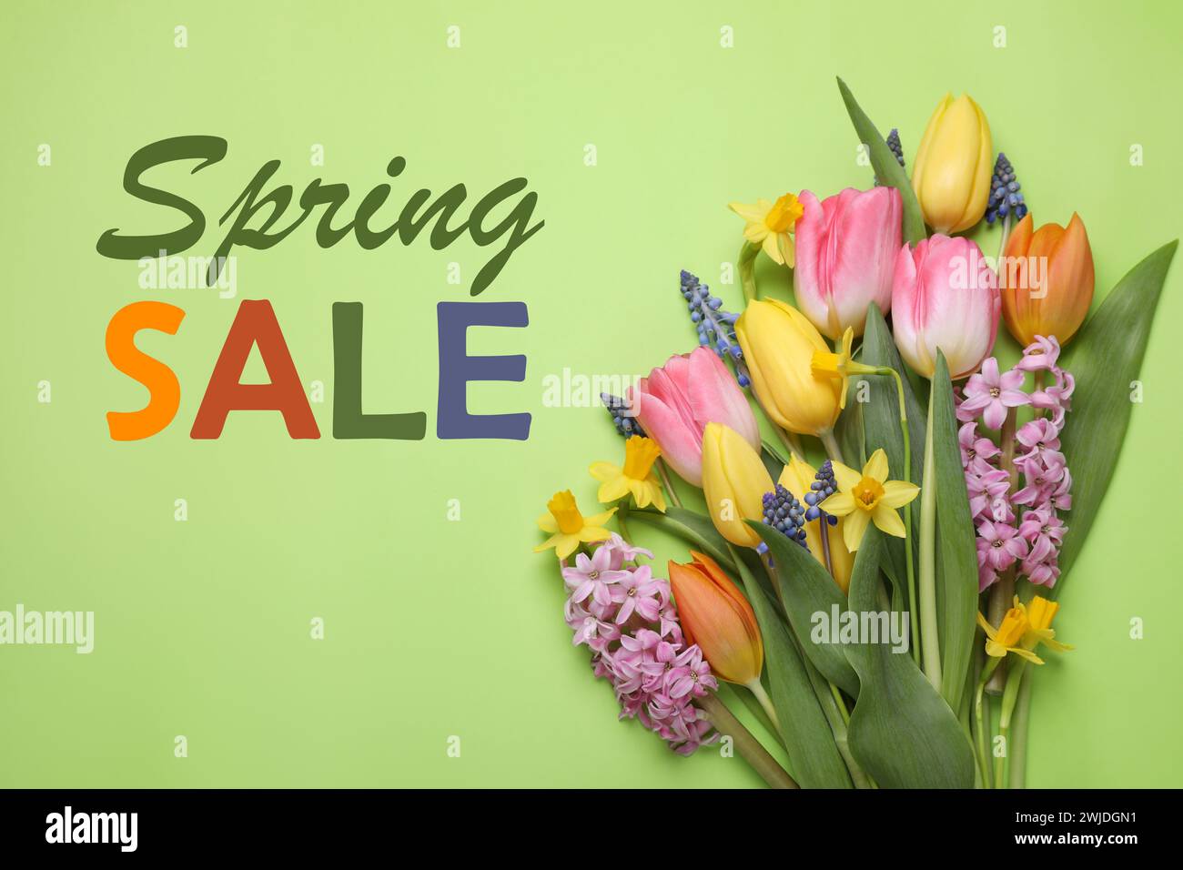 Spring sale flyer design with text and beautiful flowers on green ...