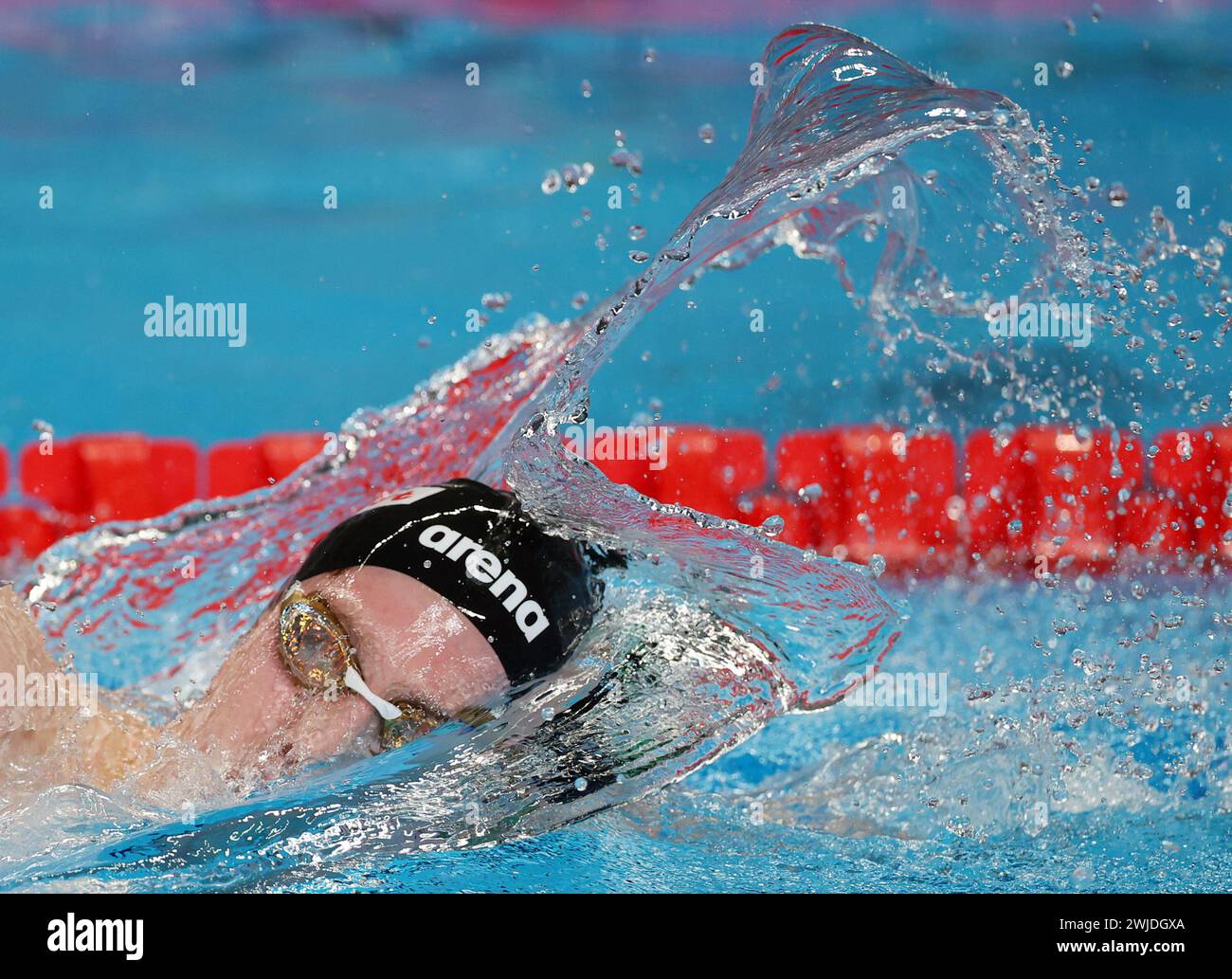 Doha, Qatar. 14th Feb, 2024. Daniel Wiffen of Ireland competes during ...