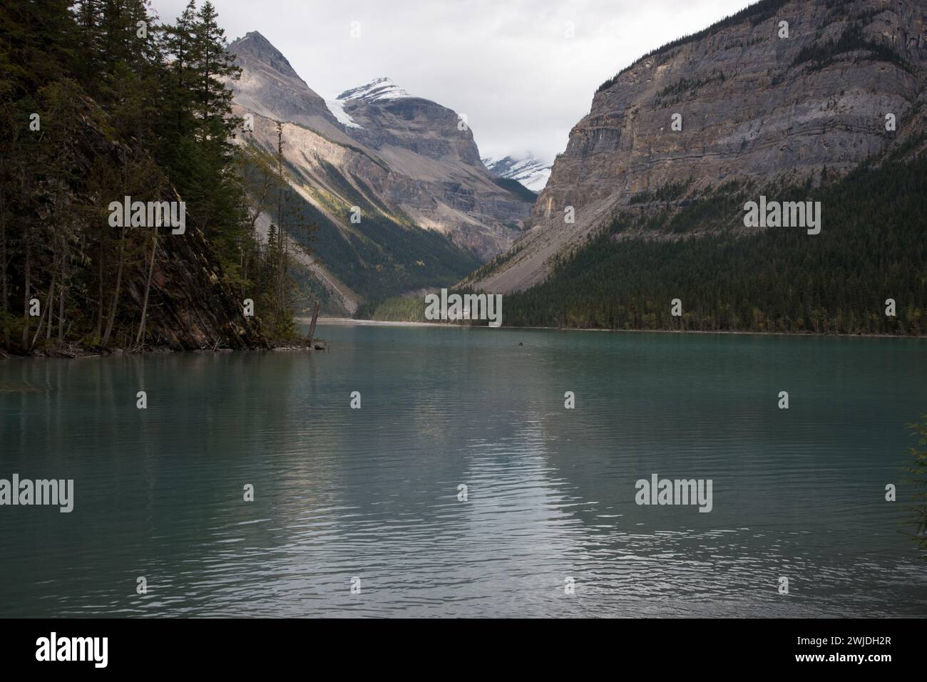 Kinney Lake is a stunning green lake towered by 3300 meter high ...