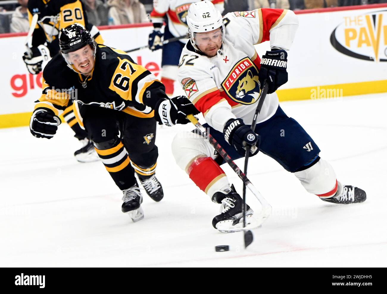 Brandon montour 62 hi-res stock photography and images - Alamy