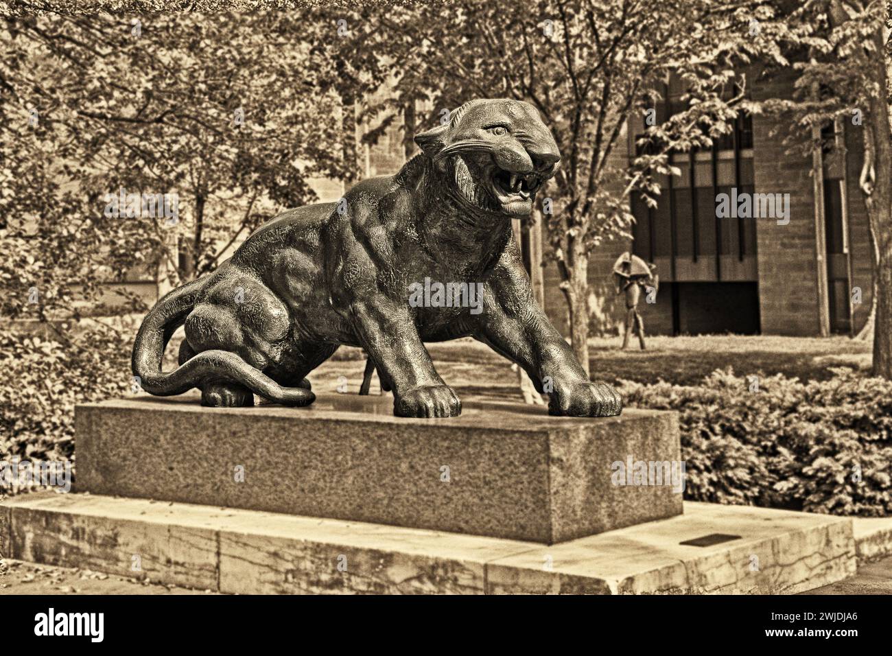 "Tiger" statue in Palmer Square .Princeton University, Princeton, NJ ...