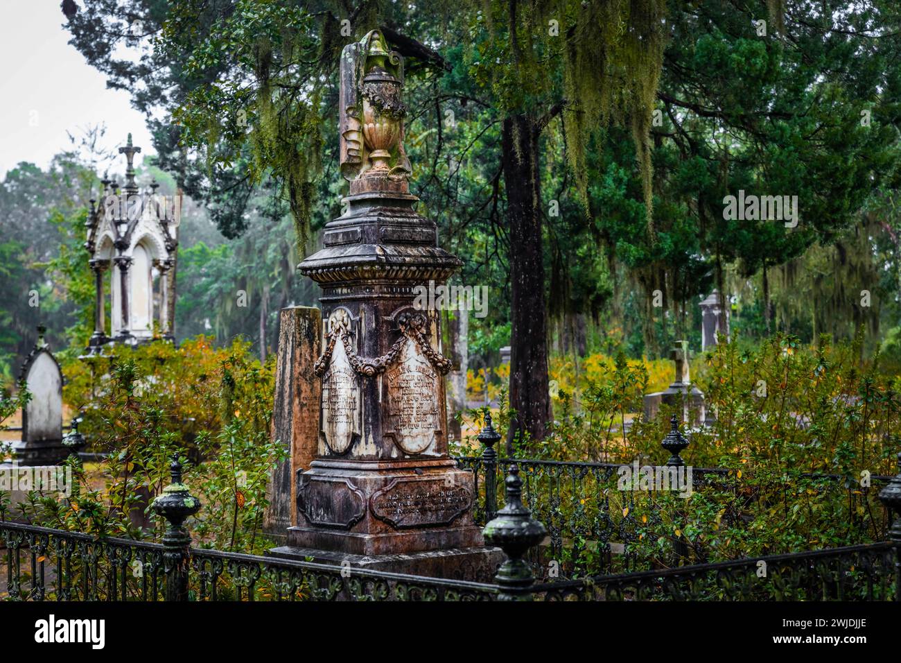 Savannah graveyard hi-res stock photography and images - Alamy