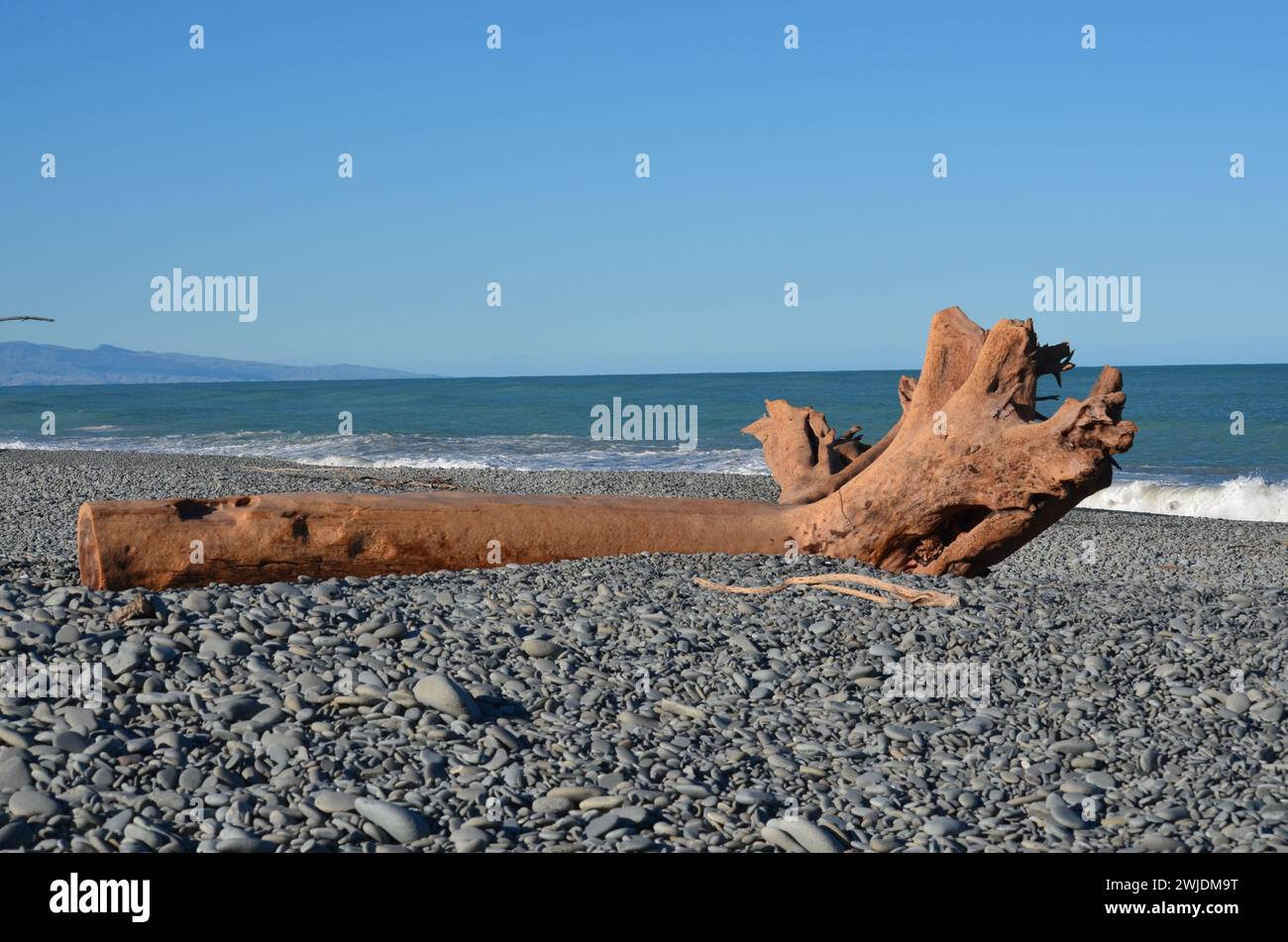 Driftwood New Zealand Stock Photo - Alamy
