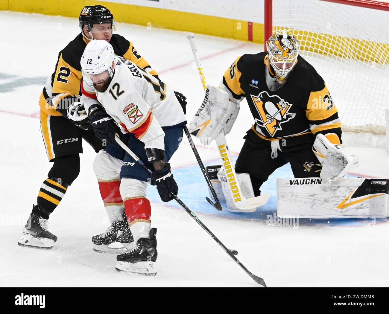 Jonah gadjovich hi-res stock photography and images - Alamy