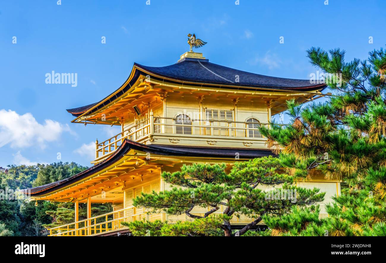 Coloful Kinkaku-Ji Rokuon-Ji Golden Pavilion Zen Buddhist Temple Park ...
