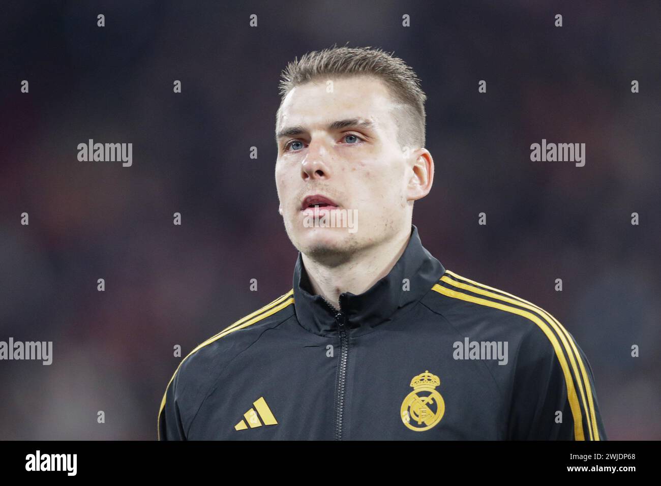Andrij lunin hi-res stock photography and images - Alamy