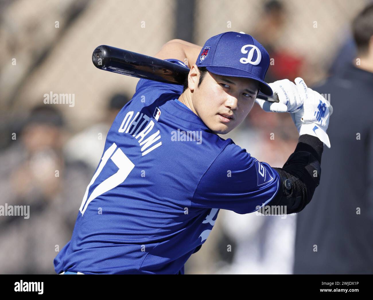 Shohei Ohtani takes batting practice at spring training with the Los ...