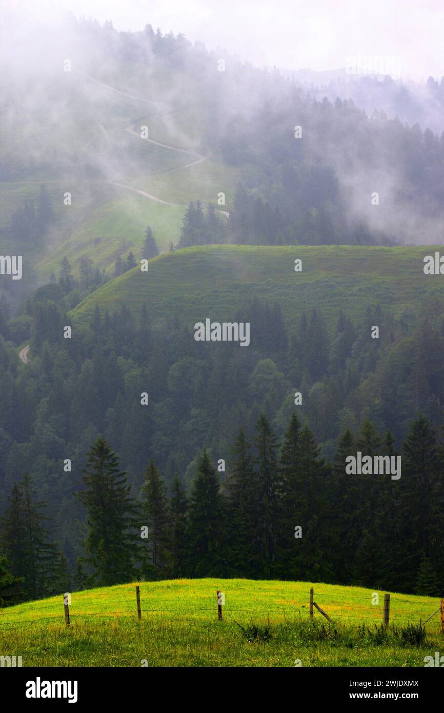 Swiss Alpine farmland, Switzerland Stock Photo - Alamy