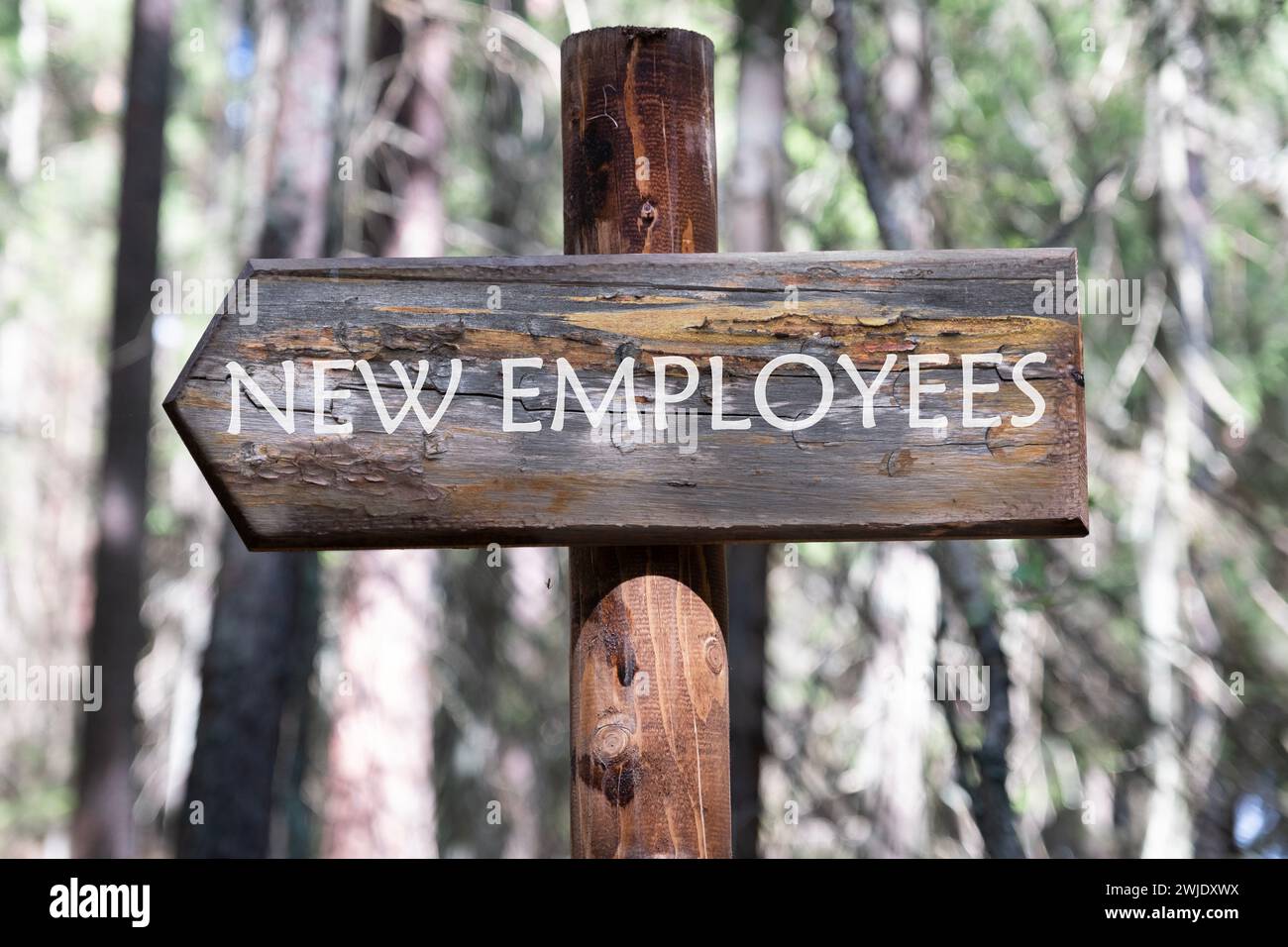 New employee starter hi-res stock photography and images - Alamy