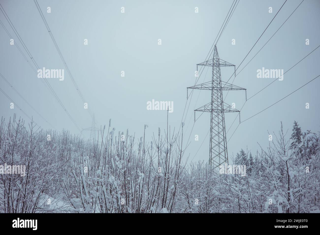 Electrical power lines in snow. Pylons for power distribution rising ...