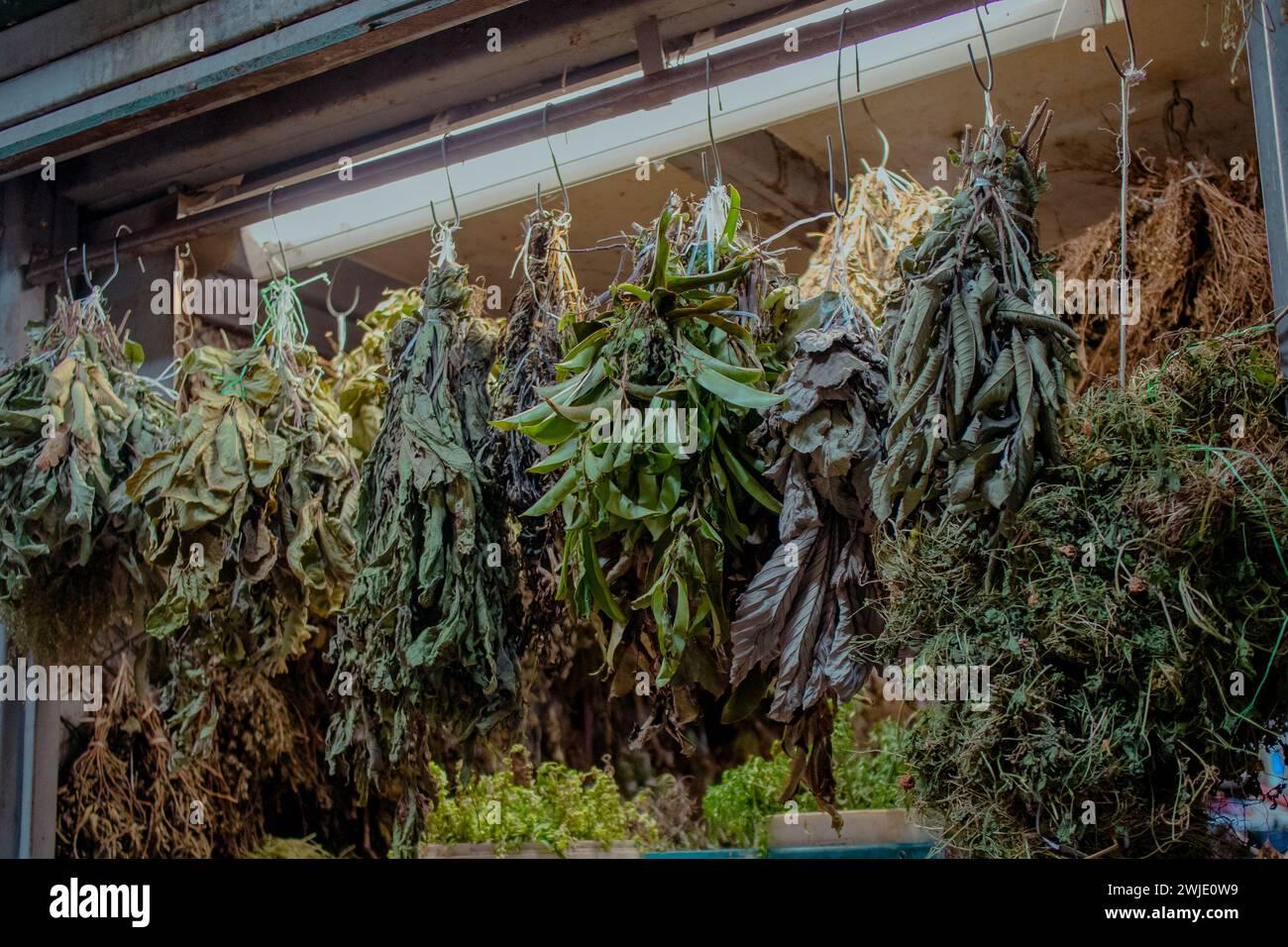 Different herbs and spices hanging from ceiling on hooks as a part of ...