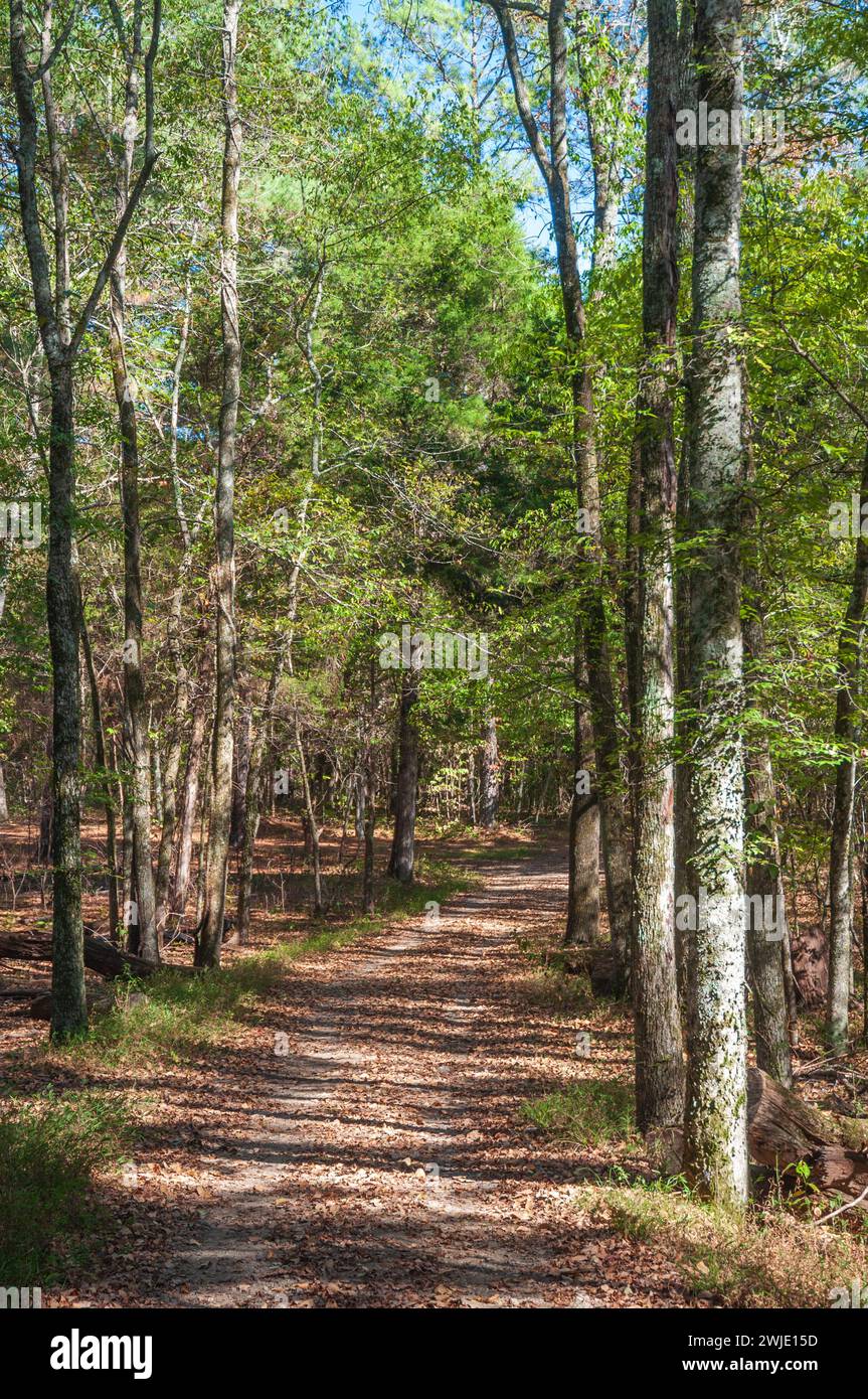 Chickamauga & Chattanooga National Military Park on an Autumn Day Stock ...