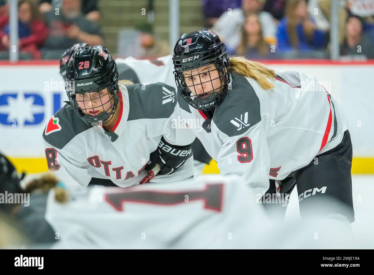 Minneapolis, Minnesota, USA. 14th Feb, 2024. Ottawa Forward DARYL WATTS ...