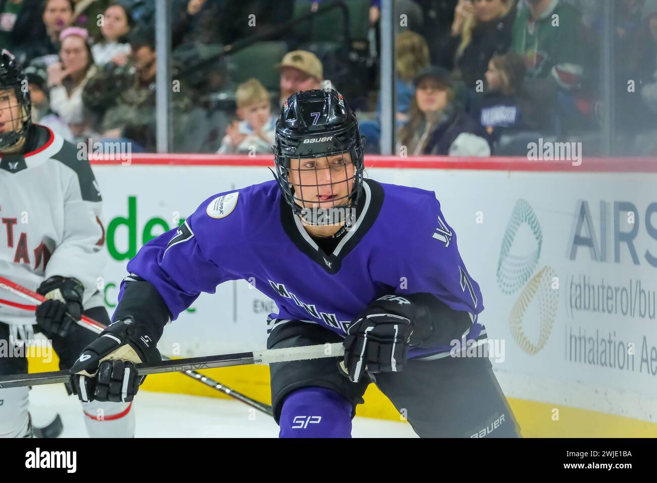 Butorac hi-res stock photography and images - Alamy