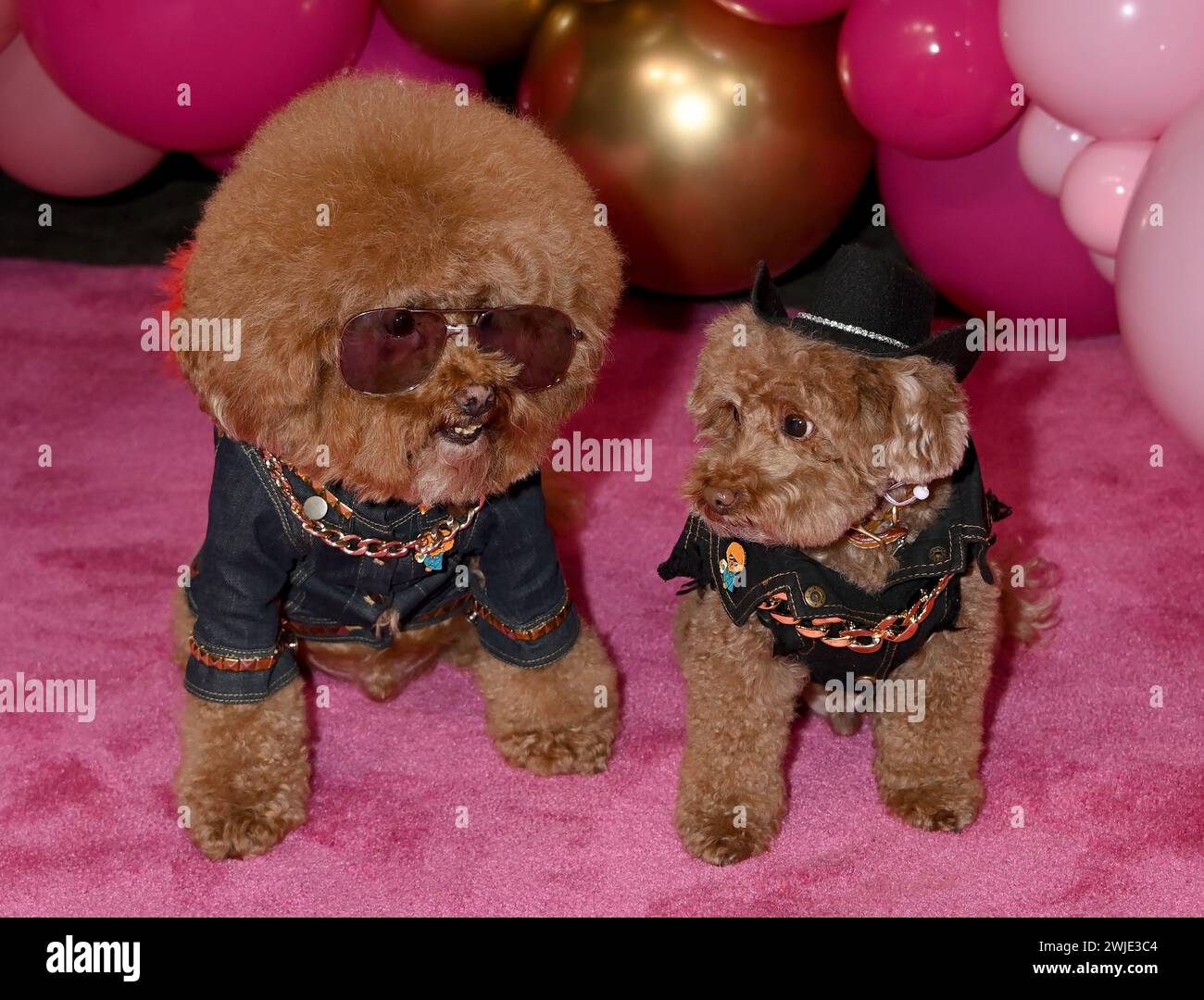 Nashville, USA. 15th Feb, 2024. Agador and Fred arriving at Dolly ...