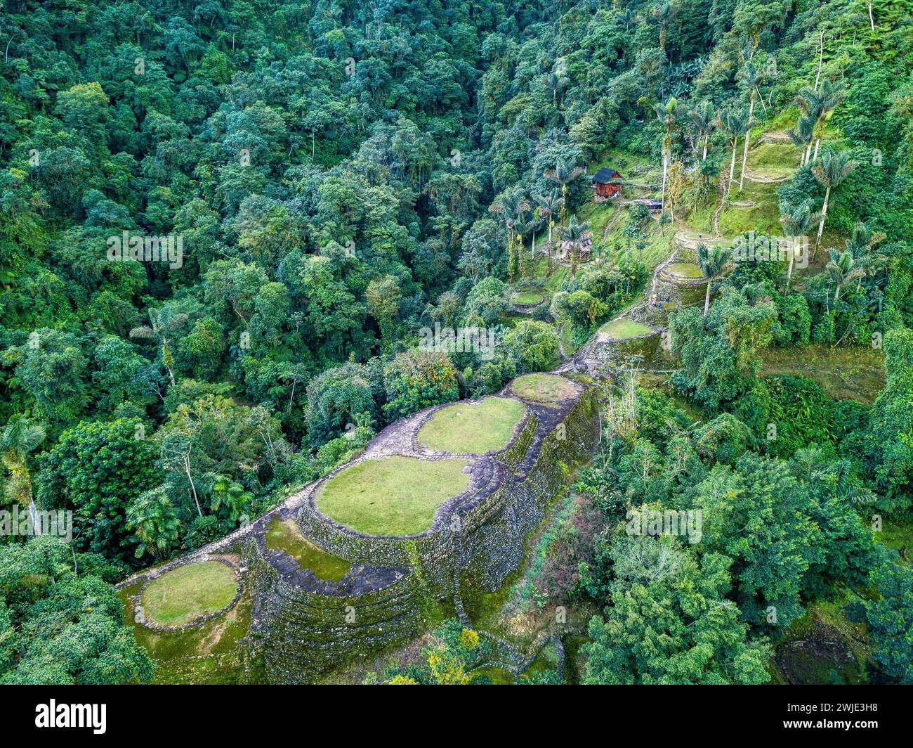 Hidden ancient ruins of Tayrona civilization Ciudad Perdida in the ...