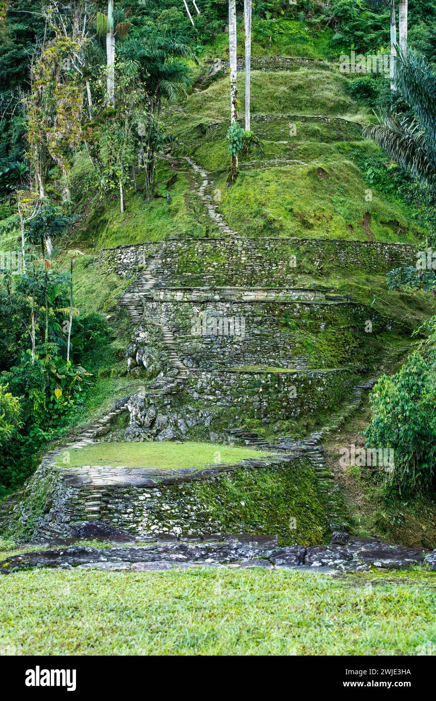 Hidden ancient ruins of Tayrona civilization Ciudad Perdida in the ...