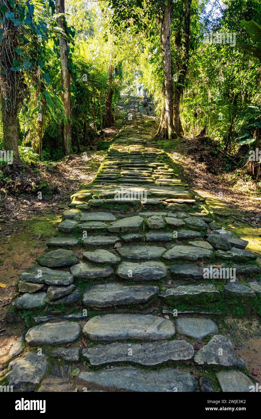 Queens main stone stairs in hidden ancient ruins of Tayrona ...