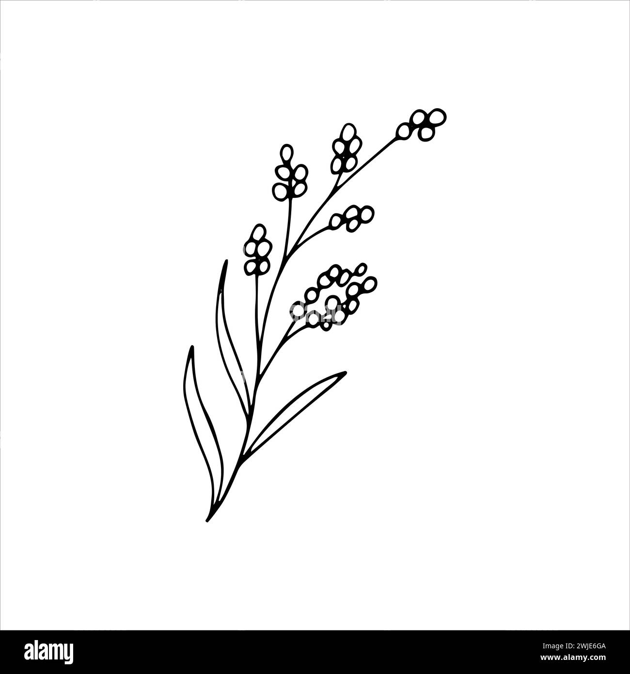 Wildflower Clipart for wedding invitation. Hand-drawn doodle Scribble ...