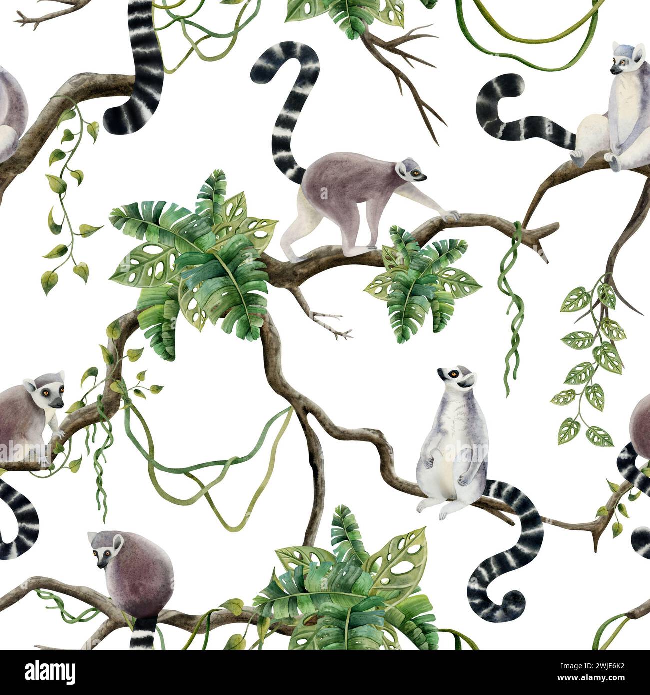 Lemurs on jungle trees with tropical leaves and vines watercolor ...