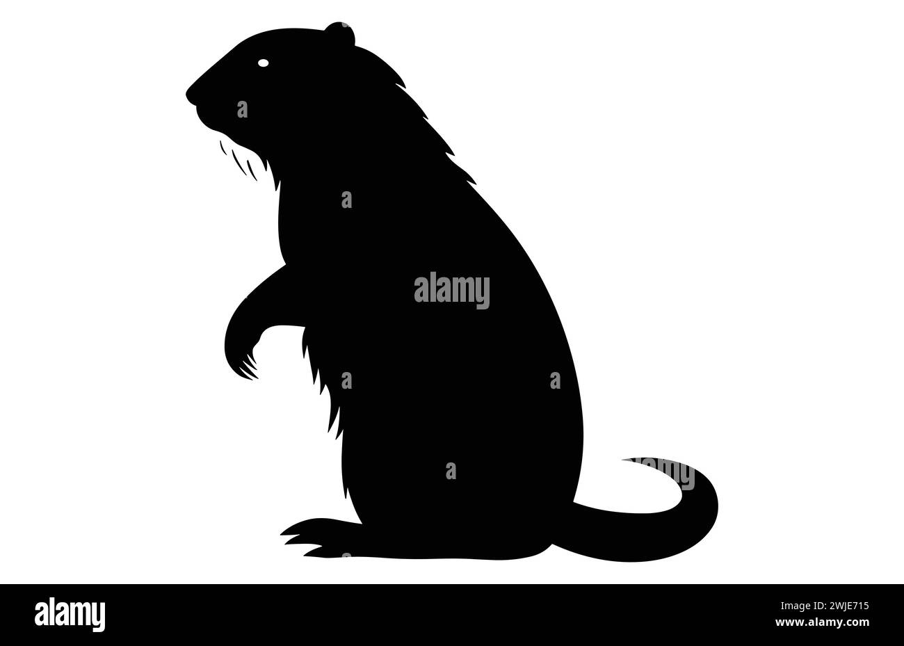 Black and white groundhog Cut Out Stock Images & Pictures - Alamy