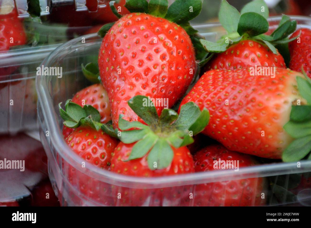 Copenhagen, Denmark/13 February 2024/Tiny strawberry fruit contain at ...