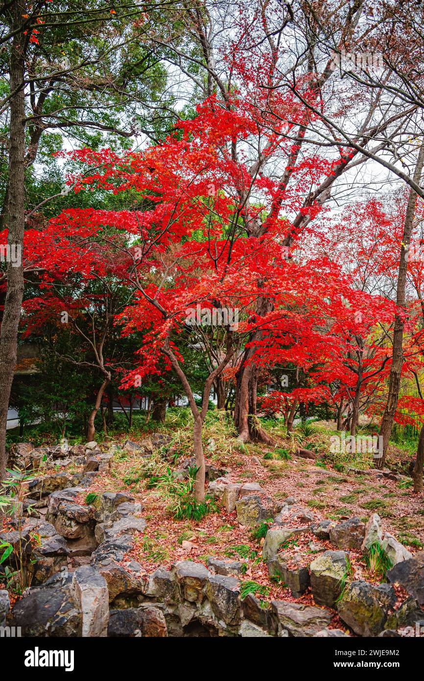 Suzhouchina hi-res stock photography and images - Alamy