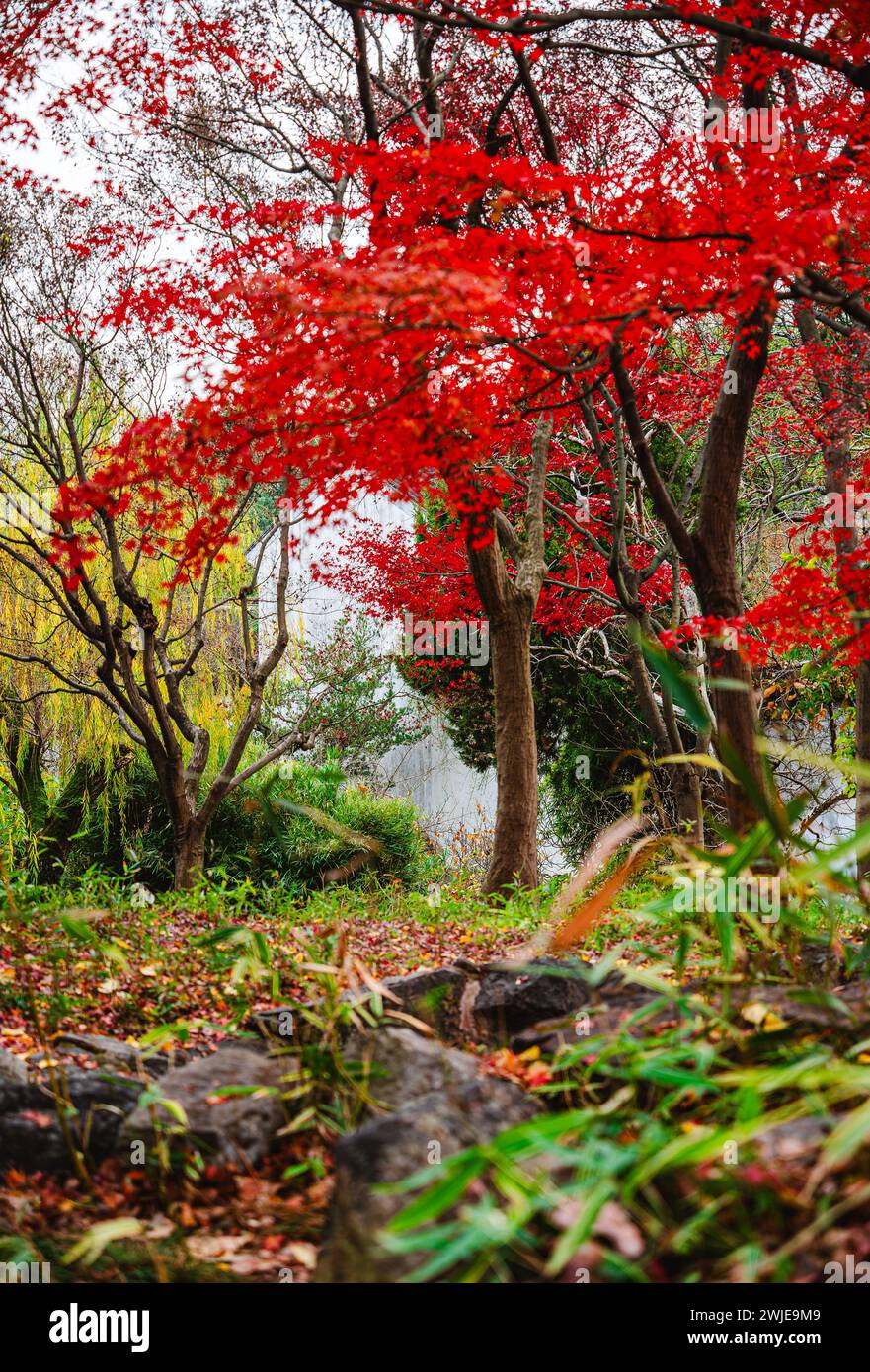 Suzhouchina hi-res stock photography and images - Alamy