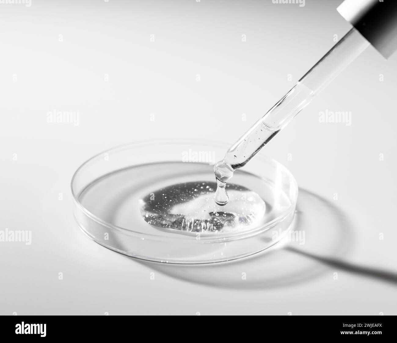 Petri dish and dropper on white background. Dripping gel Stock Photo ...