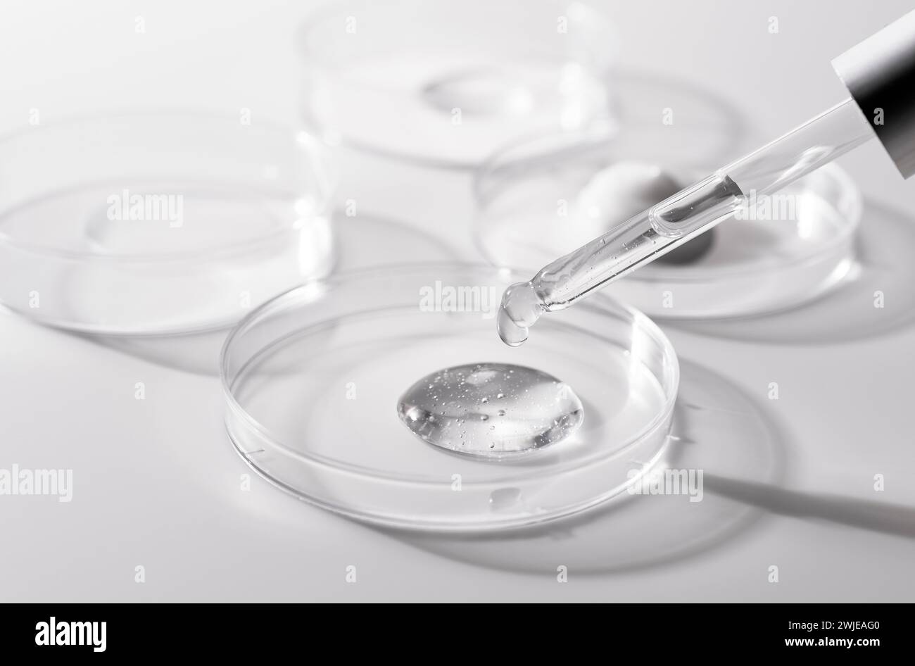 Petri dish and dropper on white background. Dripping gel Stock Photo ...
