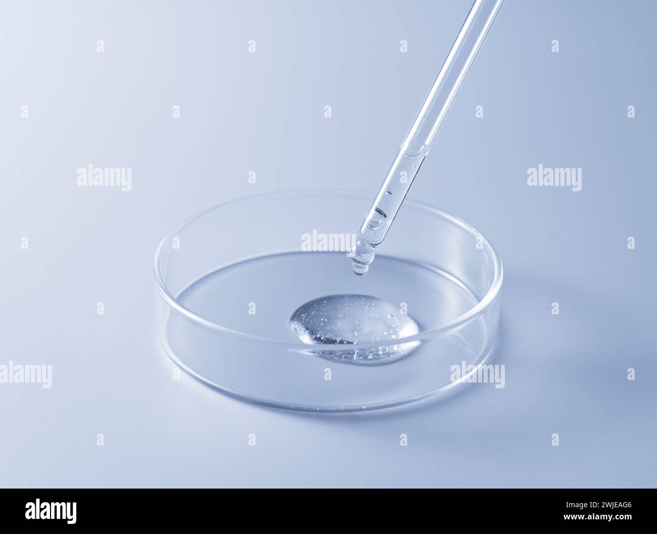 Petri dish and dropper on blue background. Dripping gel. Petri dish and ...