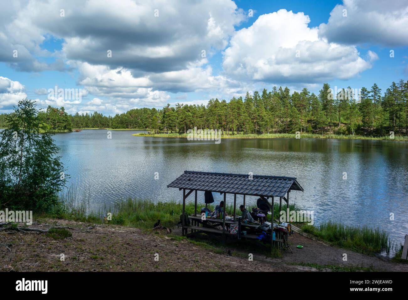 lake in a forest in the swedish nature reserve hoekensas near tidaholm ...