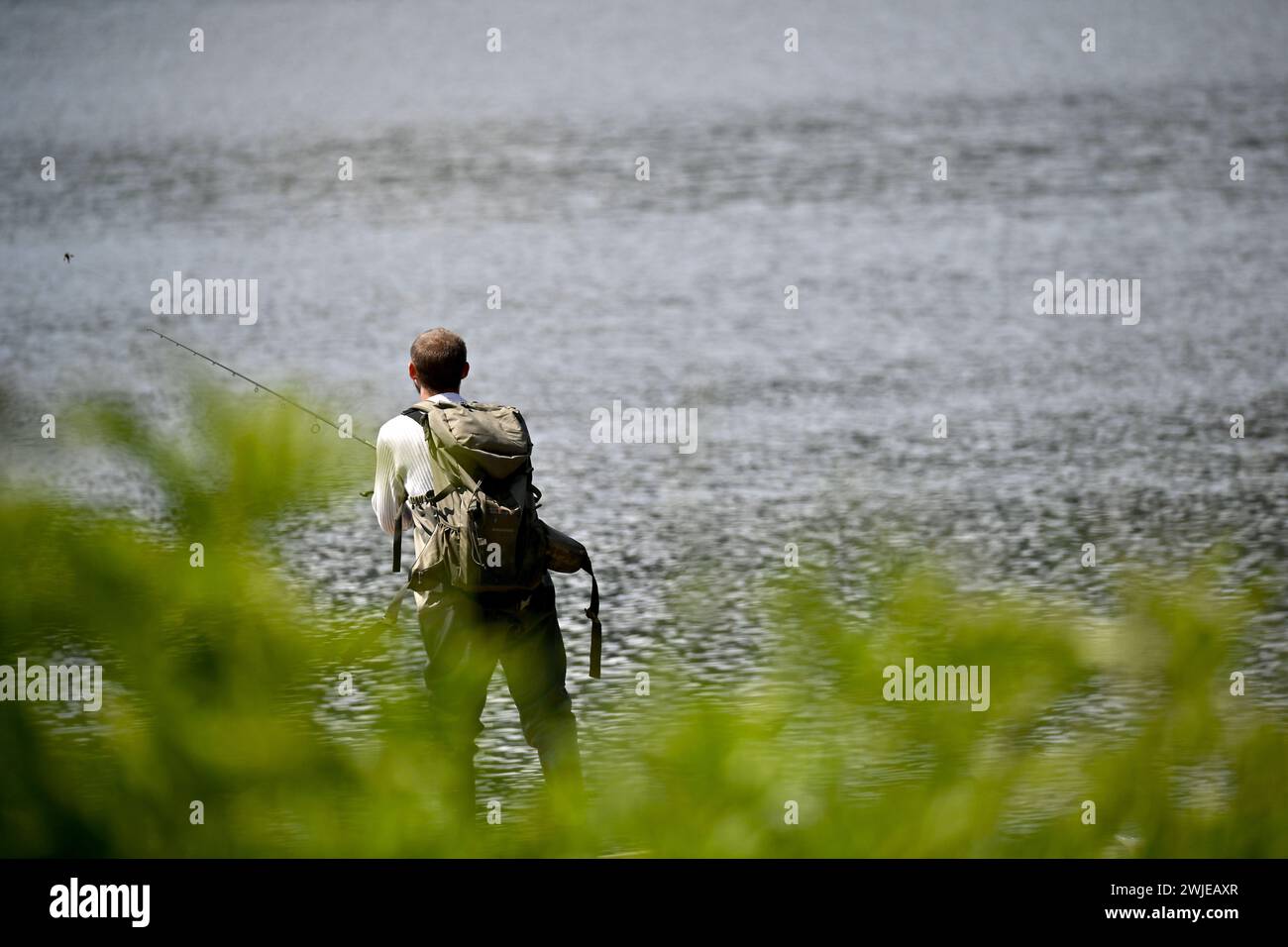 Haute-Loire department (south-central France): Lake Bouchet, a crater ...